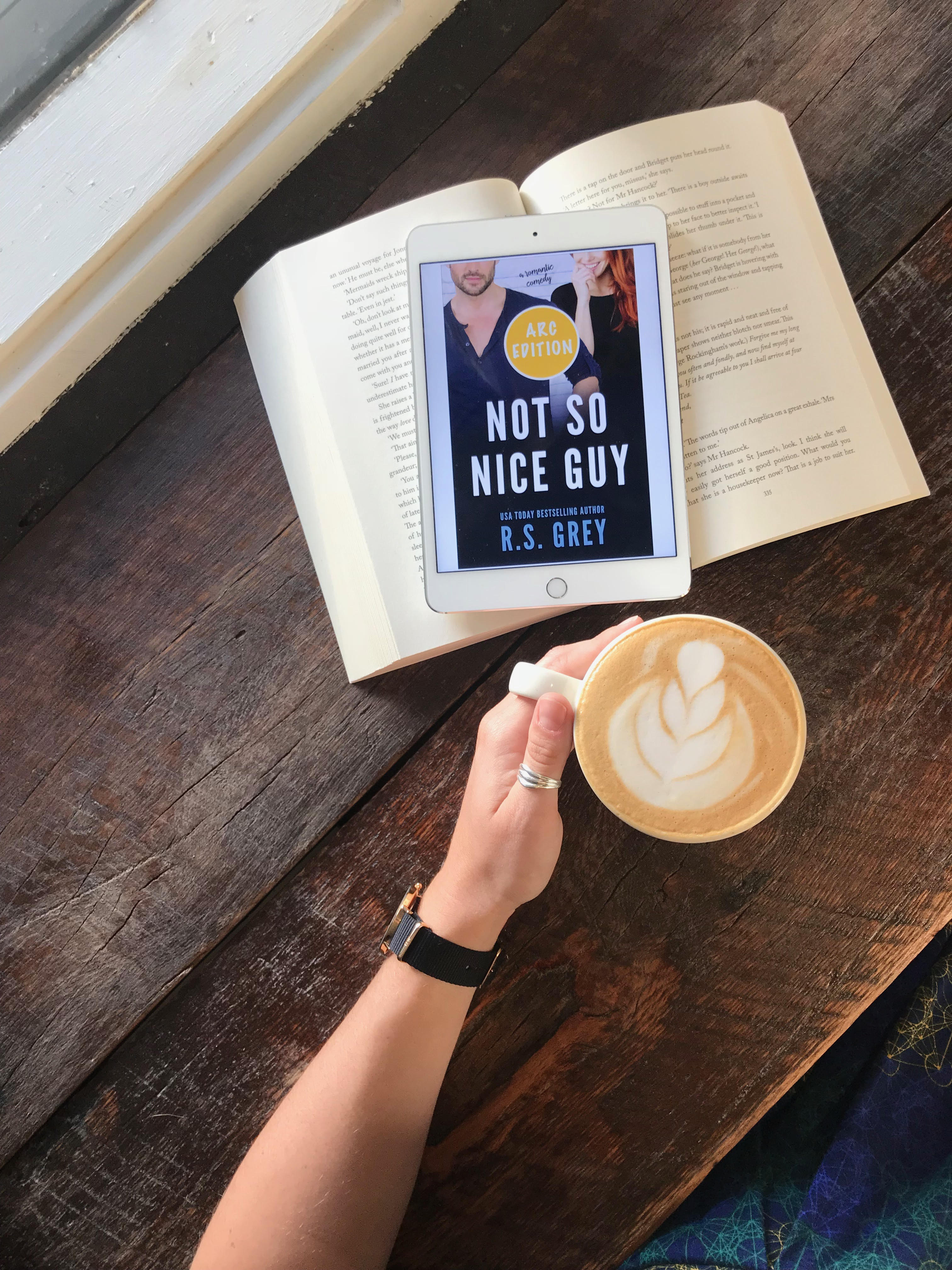 NOT SO NICE GUY BY R.S. GREY – LiteraryJo Reviews
