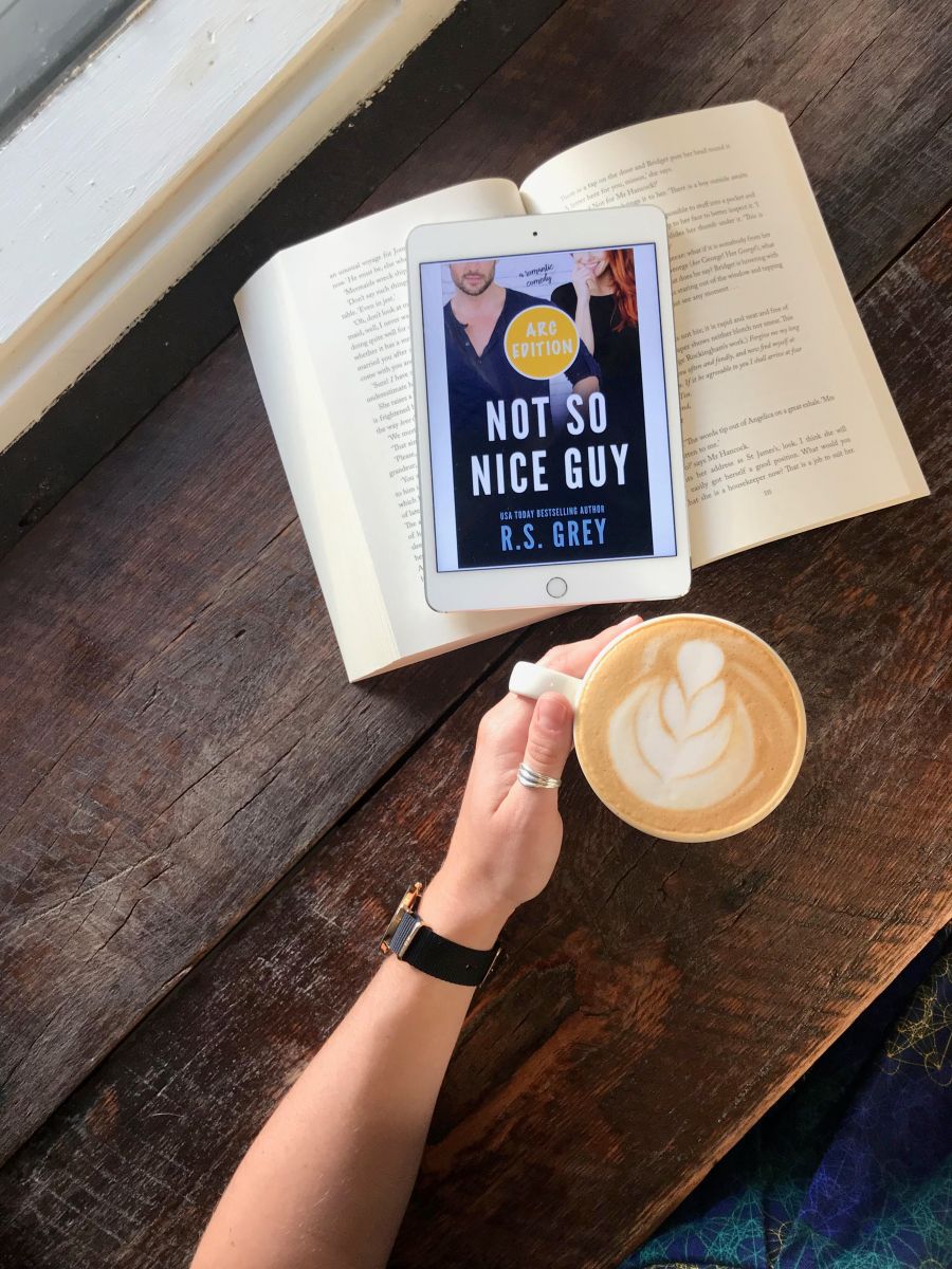NOT SO NICE GUY BY R.S. GREY – LiteraryJo Reviews
