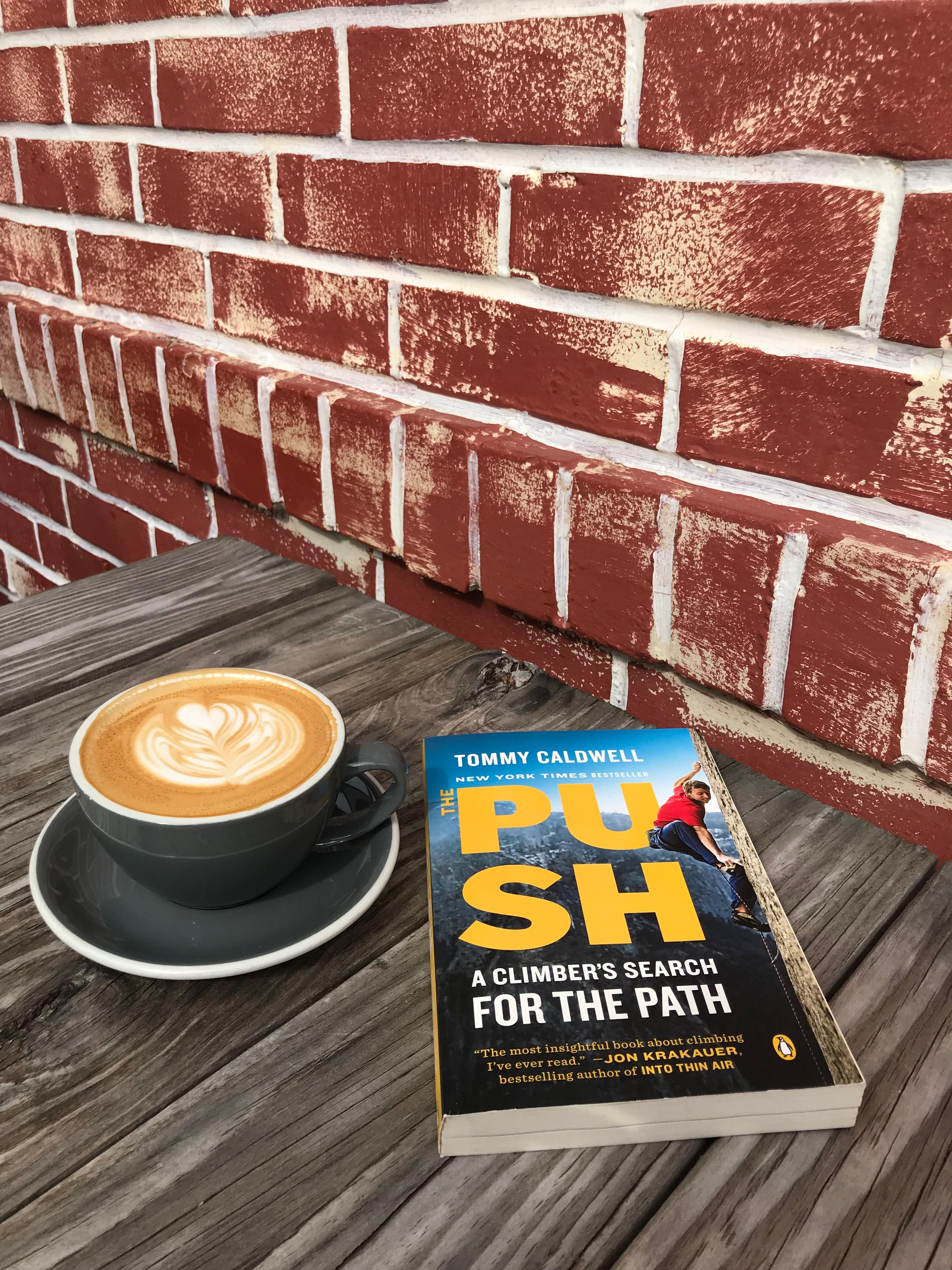 THE PUSH BY TOMMY CALDWELL – LiteraryJo Reviews